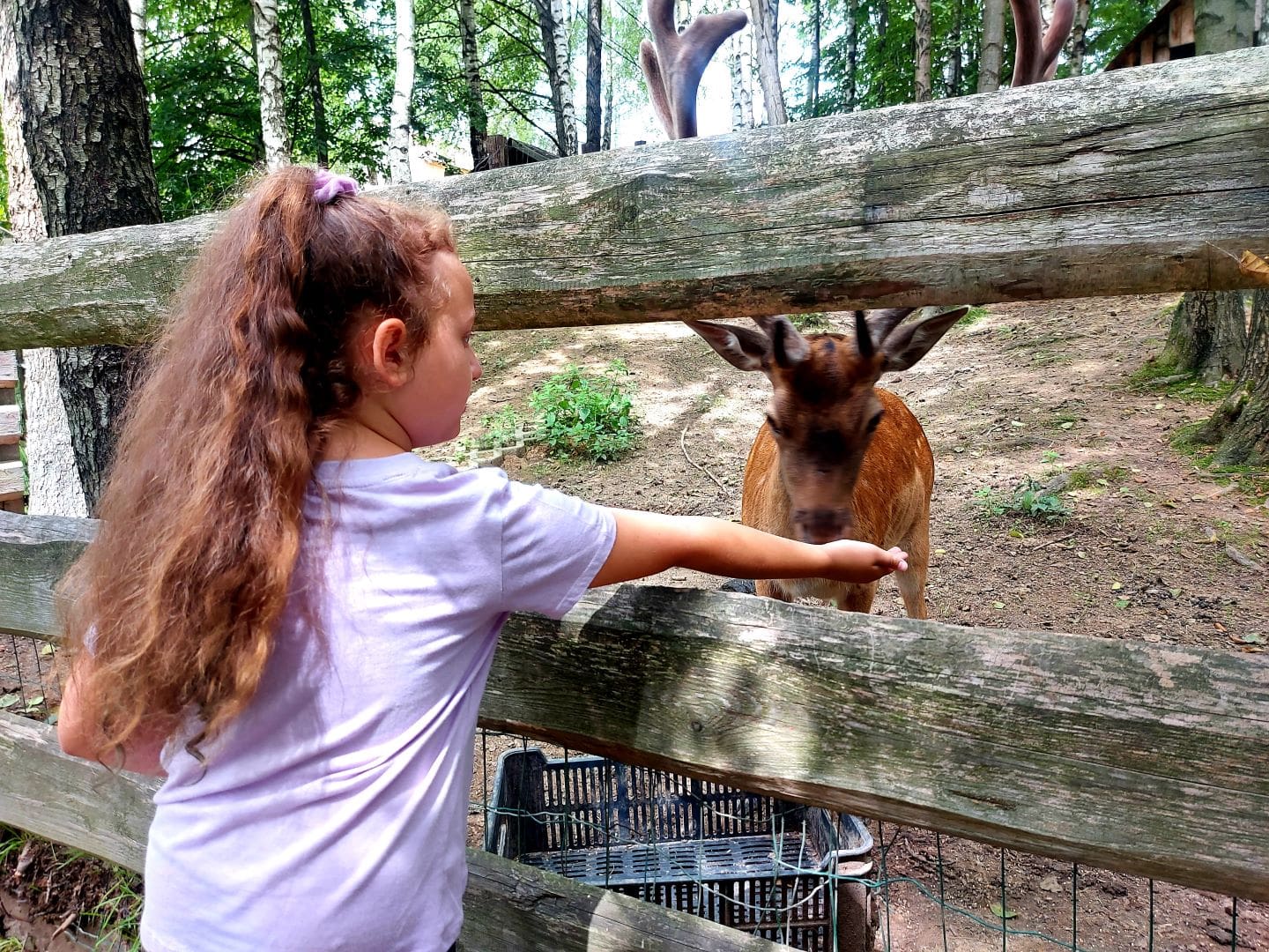 Mini Zoo - Agro Kucyk - Oliwia w podróży