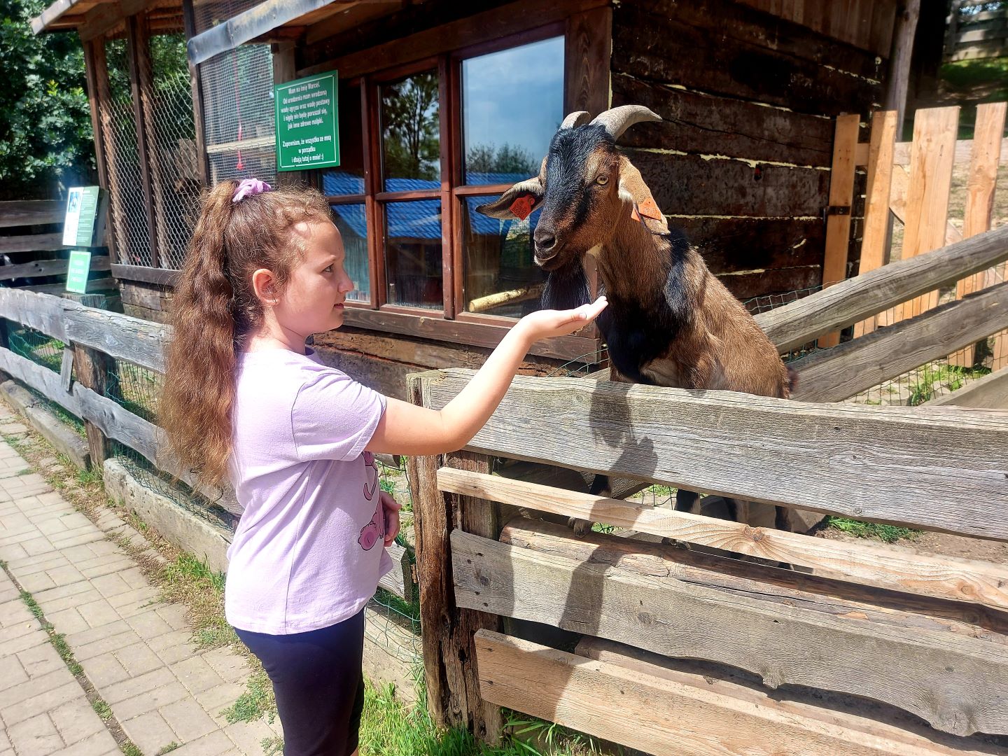 Mini Zoo - Agro Kucyk - Oliwia w podróży