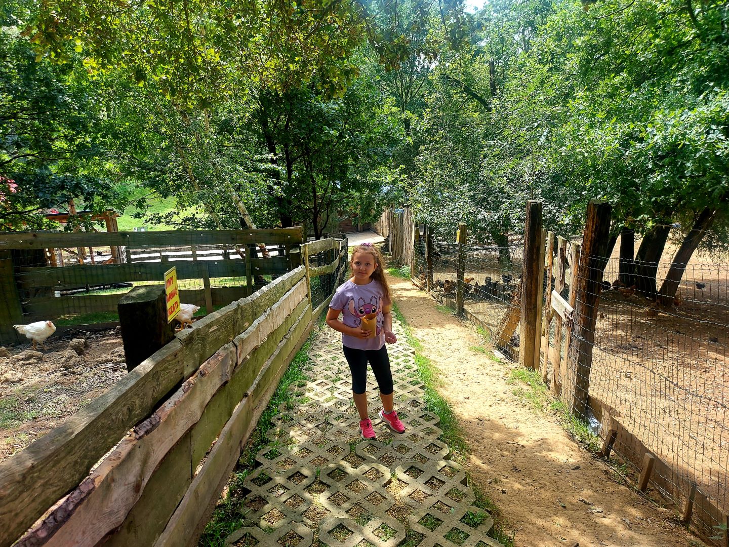 Mini Zoo - Agro Kucyk - Oliwia w podróży